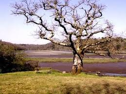 Décès de Monsieur Pierre KRIER (25-02-13), Annonce nécrologique