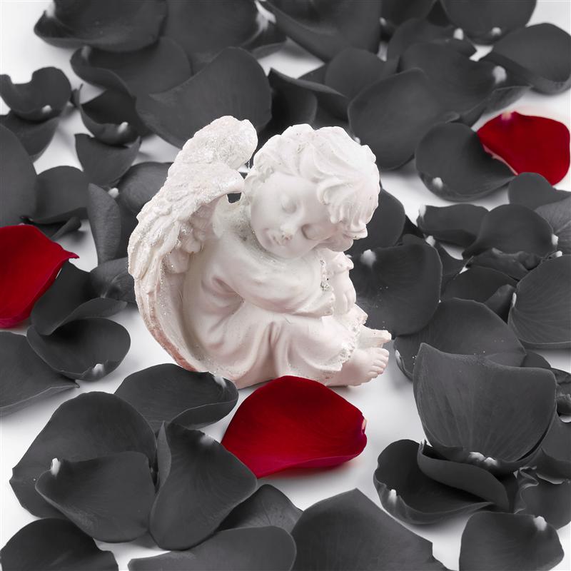 Décès de Monsieur François CASTEL (10-08-17), Annonce nécrologique