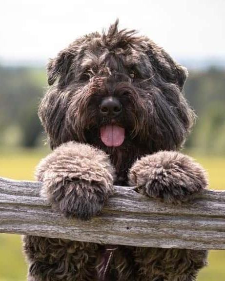 Décès de Monsieur Patrick SEVESTRE (10-12-23)