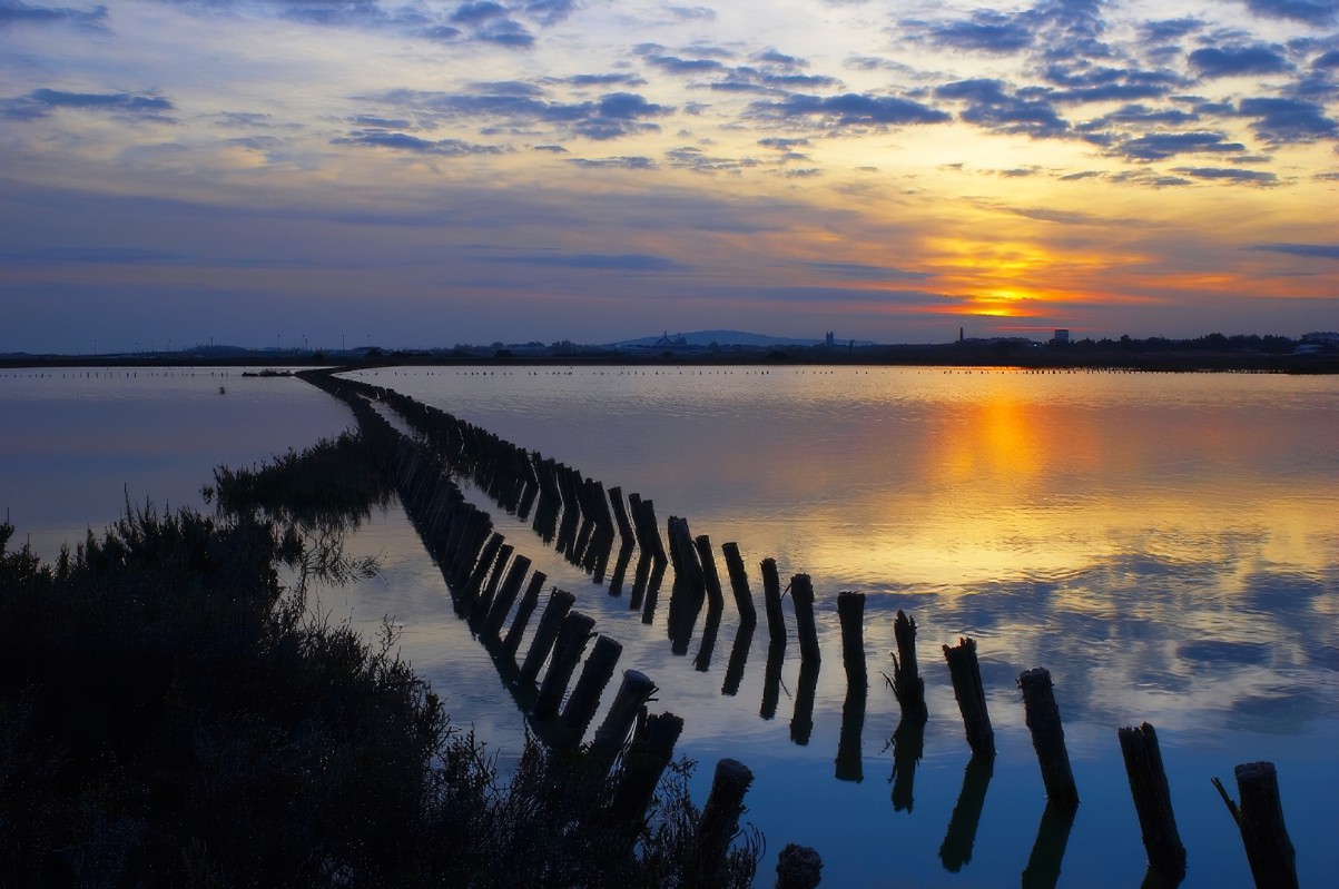 Décès de Monsieur Alain MORAND (01-01-24)
