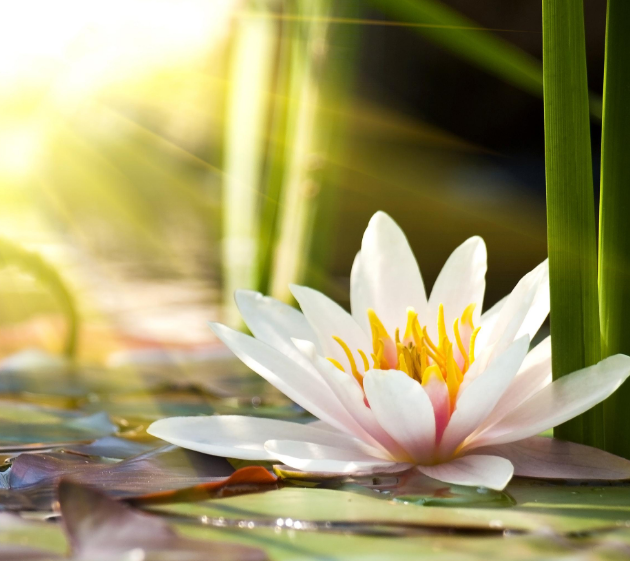 Décès de Madame Chantal JEAN née VINET (29-10-24)