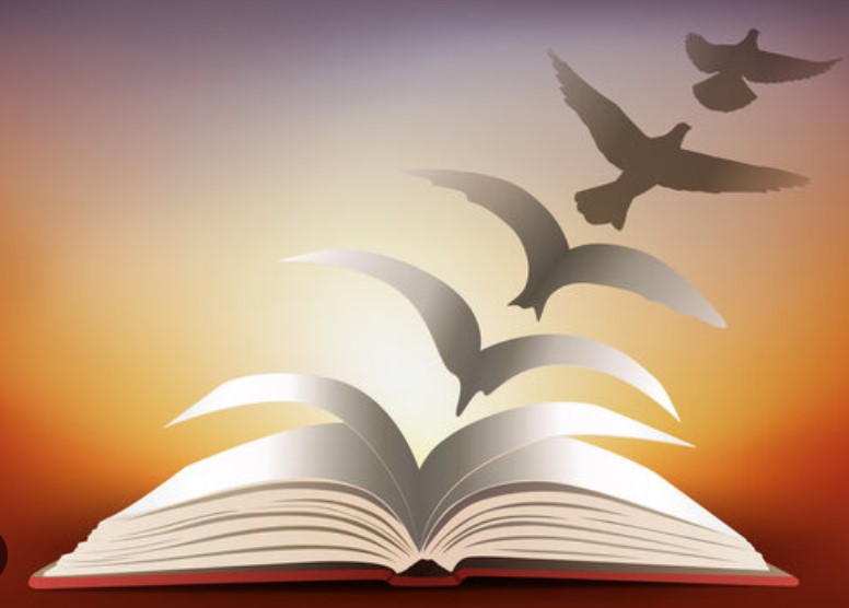 Décès de Madame Janine MORENO née GALY (07-01-25), Annonce nécrologique